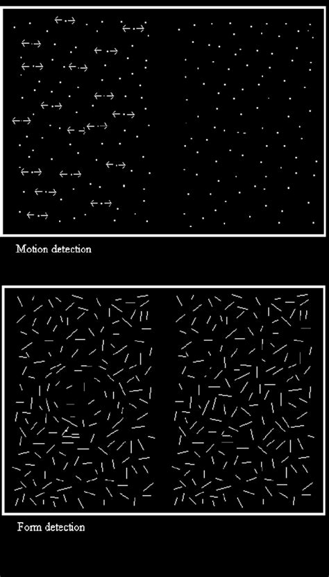 A Schematic Illustration Of The Stimuli Used In The Motion And Form