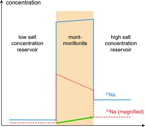 Schematic Of An Experimental Diffusion Set Up Resulting In Seemingly Download Scientific