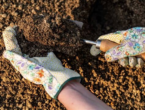 7 Thrifty Ways To Reuse Potting Soil Backyard Boss