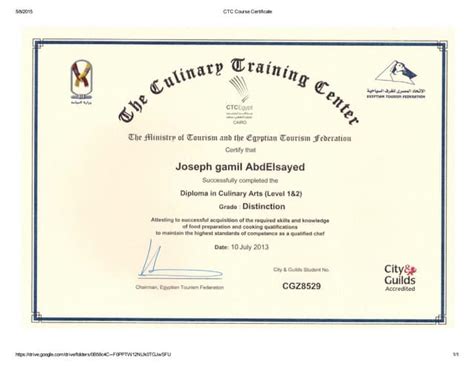 Ctc Course Certificate Pdf