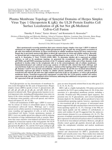 Pdf Plasma Membrane Topology Of Syncytial Domains Of Herpes Simplex Virus Type 1 Glycoprotein