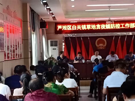 区农业农村局迅速落实草地贪夜蛾防控工作