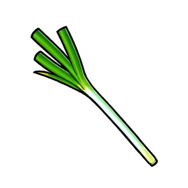 Collection Of Leek Png Pluspng
