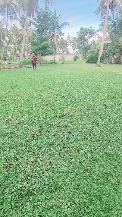 ගෙවතු අලංකරණය Youtube