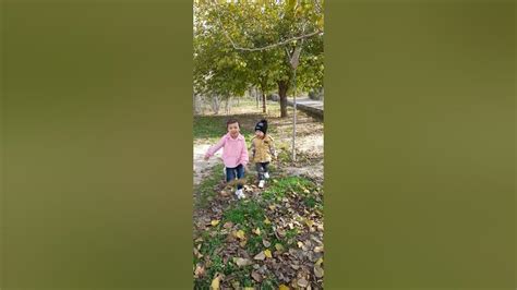 که مرا برد به یغما پاییز Youtube