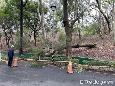 快訊／強風豪雨狂灌！高雄澄清湖1男遭路樹砸頭 無心跳搶救中 Ettoday社會新聞 Ettoday新聞雲