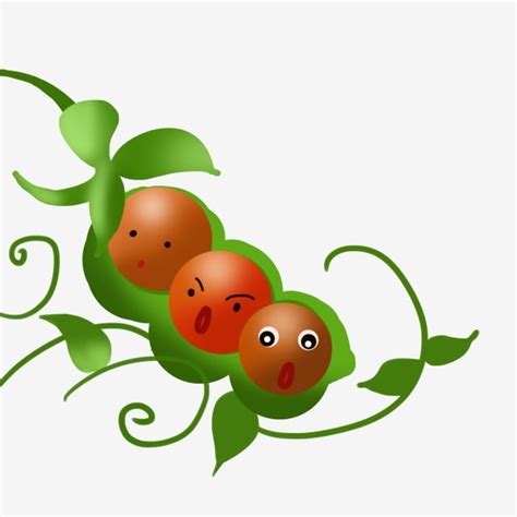 콩 일러스트 콩 클립 아트 콩 완두콩 PNG 일러스트 및 PSD 이미지 무료 다운로드 Pngtree