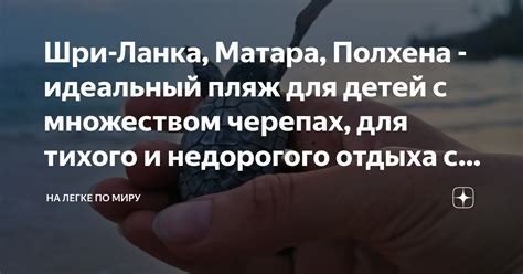 Шри Ланка Матара Полхена идеальный пляж для детей с множеством черепах для тихого и