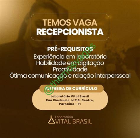 Recepcionista Parnaíba Pi 01 Vagas Themos Vagas Empregos E