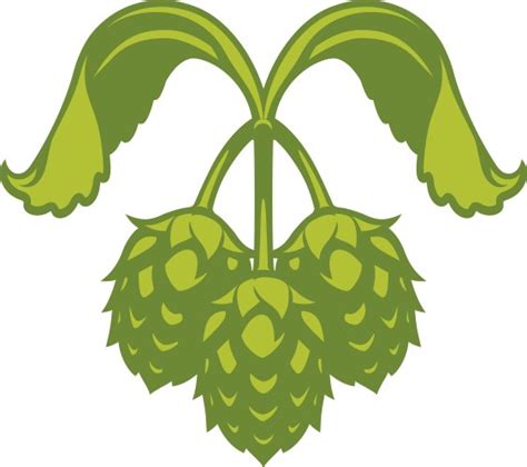 Hops Royalty Free Vector Image Vectorstock
