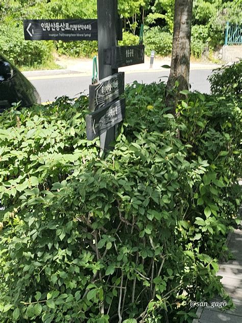 인왕산 등산코스 경복궁역 약수터 매바위 인왕산 윤동주문학관 이산저산