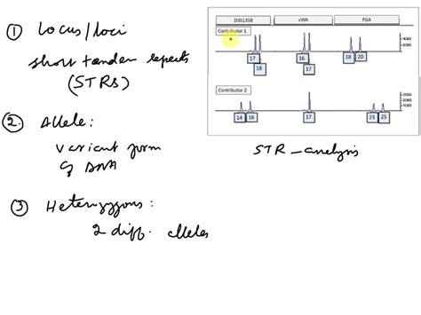 SOLVED The Image Above Is The STR Analysis From Two Suspects Who Left Their DNA Behind At A