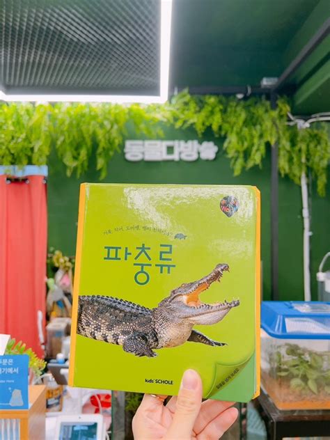 백일독서 독후활동 마이퍼스트월드 파충류” 네이버 블로그