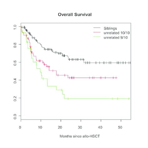 Overall Survival According To Different Hla Groups Download Scientific Diagram