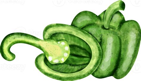 Watercolor Bell Pepper Clip Art 23296510 Png