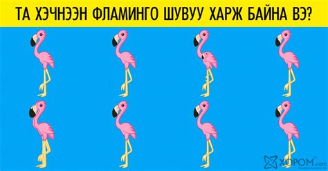 Таны ажиглах чадварыг шалгах сорил Дараах 15 зургийг сайтар харж хэр хурц нүдтэй болохоо мэдэж