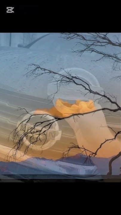 한국인은 참지못하는 영상 Youtube