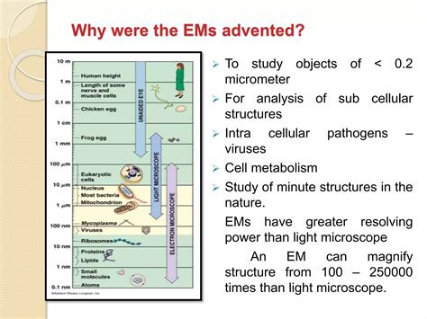 Electron Microscope Ppt Pptx Electron Microscope Ppt Pptx