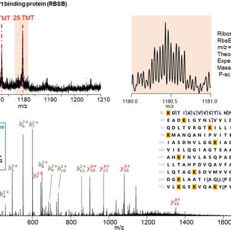 Evaluation Of Protein Solubility Under Different Tmt Labeling