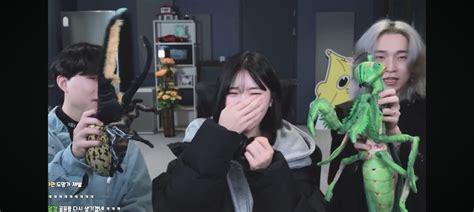 혐주의 와나나 앞에서 이런 컨텐츠 언제 한거냐 숲 Soop 에펨코리아