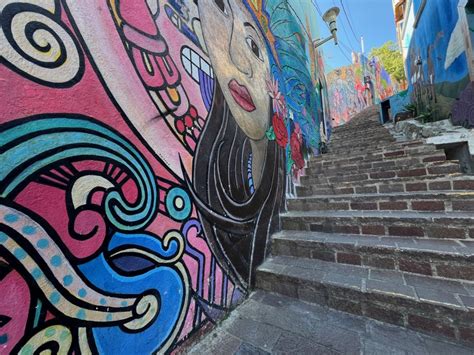 Falkor Expeditions Guanajuato Is A Muse
