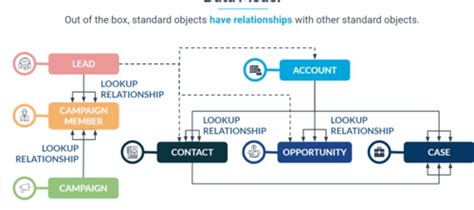 Standard Object Architecture And Relationship Model Flashcards Quizlet