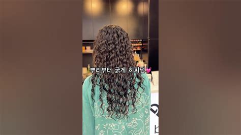 뿌리부터 굵게 히피펌🫶🏻굵은히피펌youtubehair Youtube