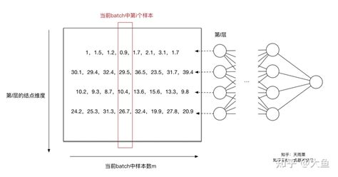 Batch Normalization原理 知乎