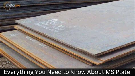 Everything You Need To Know About Ms Plate