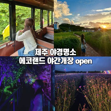 제주 야경 명소 에코랜드 테마파크 야간개장 기차 여행 곶자왈 포토존 네이버 블로그