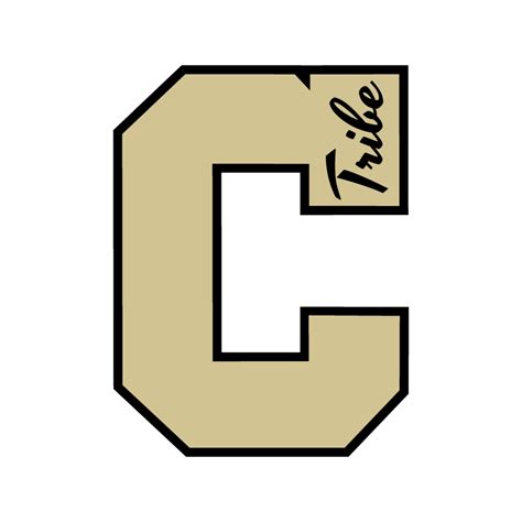Logo And Brand Standards Canyon High School