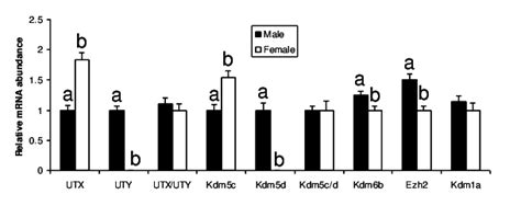 Relative Mrna Abundance Of Sex Chromosome Linked 6 On Left Or