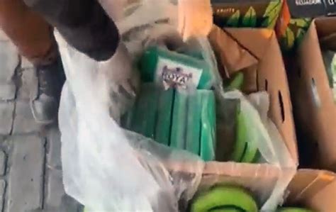 Policía Incauta Más De Una Tonelada De Cocaína Que Iba A Alemania