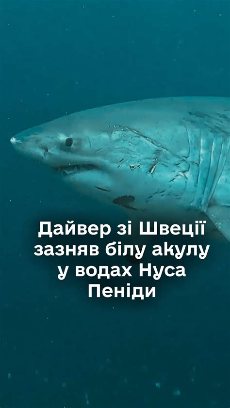 Bali Ukraine Балі Україна Українці на Балі За останні кілька днів сильні повені вразили