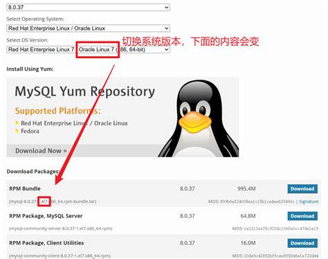 Linux 安装 Mysql【centos】【超详细图文教程】linux 安装mysql Csdn博客