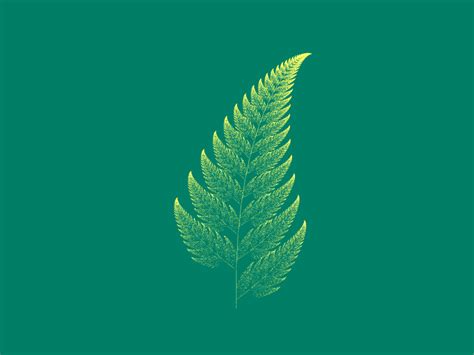 Github Veneta13barnsley Fern Visualization Of The Barnsley Fern