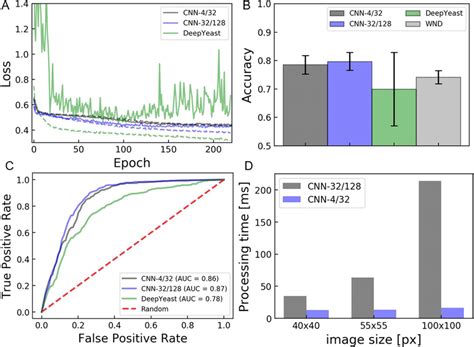 Training And Classification Performance Models Were Trained On The Download Scientific Diagram