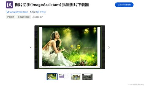 批量下载网页图片利器 Csdn博客