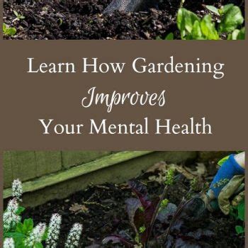 How To Build A DIY Trellis Gardening Viral