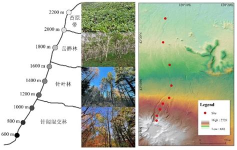 中科院东北地理所在长白山地垂直带土壤生物地理格局方面取得重要进展 聊城大学地理与环境学院
