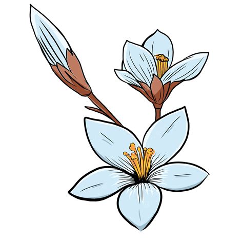 天藍色桐花卡通插畫 桐花 花插圖 花素材圖案，psd和png圖片免費下載