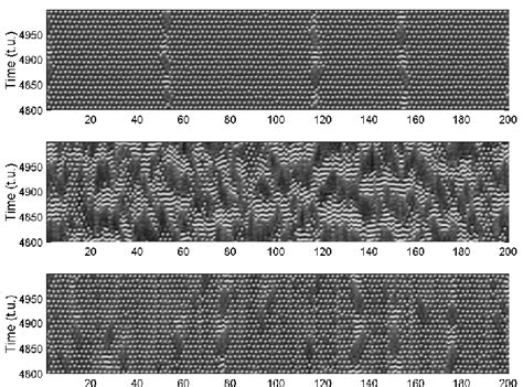 Spatiotemporal Patterns Of The Neural Network Activity For Diierent V Download Scientific