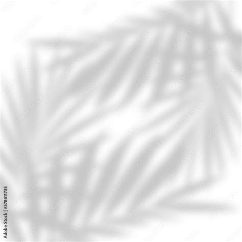 Shadow Overlay Abstract Background With Lines Stock Illustration Adobe Stock