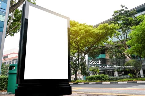 빌보드는 도시 배경의 아름다운 햇빛을 조롱합니다 맑은 도로가있는 길가 근처의 빈 정보 광고판의 템플릿 도시 배너 자리 표시자 및