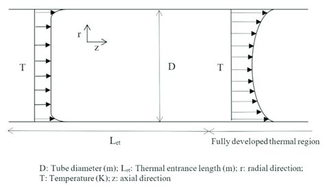 Temperature Profile Development In Forced Convection In A Tube