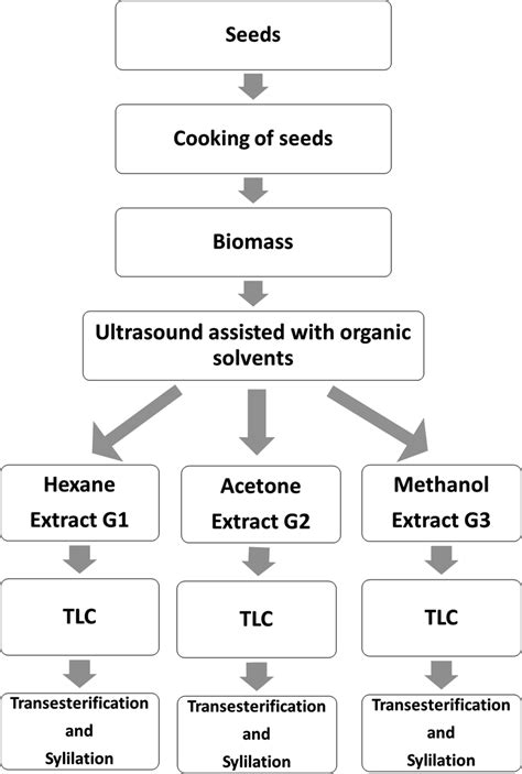 Flowchart Of The Process Of Obtaining The Different Extracts And The Download Scientific