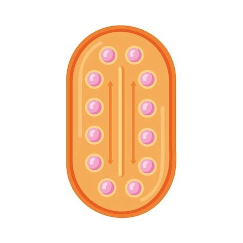Birth Control Pills Pack Illustration Premium Vector