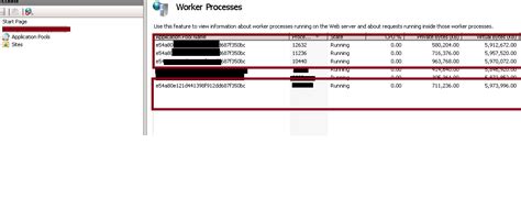 2010 Why One Application Pool Has 4 Worker Processes In Iis