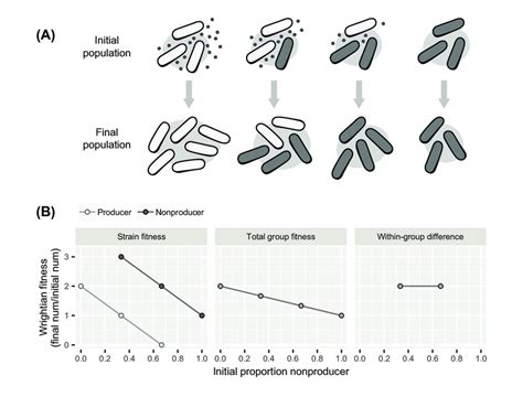 Kin And Multilevel Selection Analysis Of Microbial Mix Experiments A Download Scientific