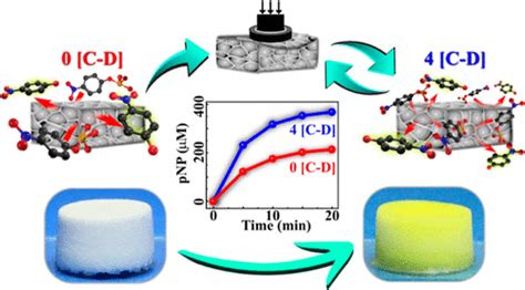 Intrinsic Elasticity Of A Three Dimensional Macroporous Scaffold Governs The Kinetics Of In Situ